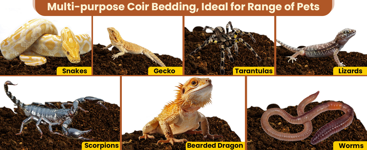 The Ultimate Reptile Bedding Solution for Happy and Healthy Pets – Gro-Med